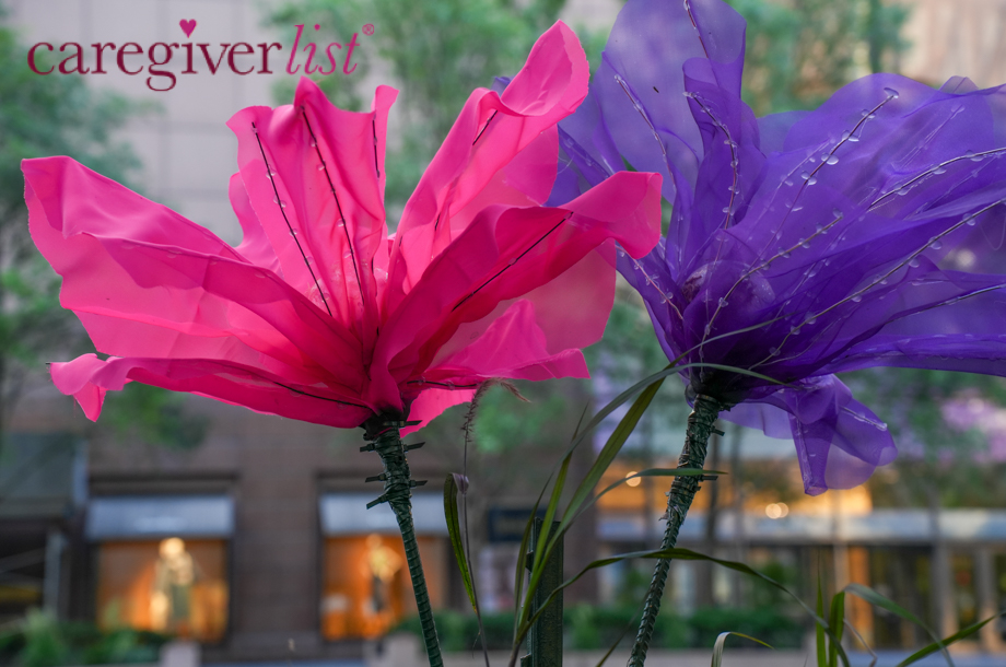 City Colors for Stress Relief - Connecting you with Quality Senior Care ...
